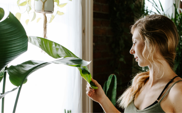 Home [giorgiberika.github.io]